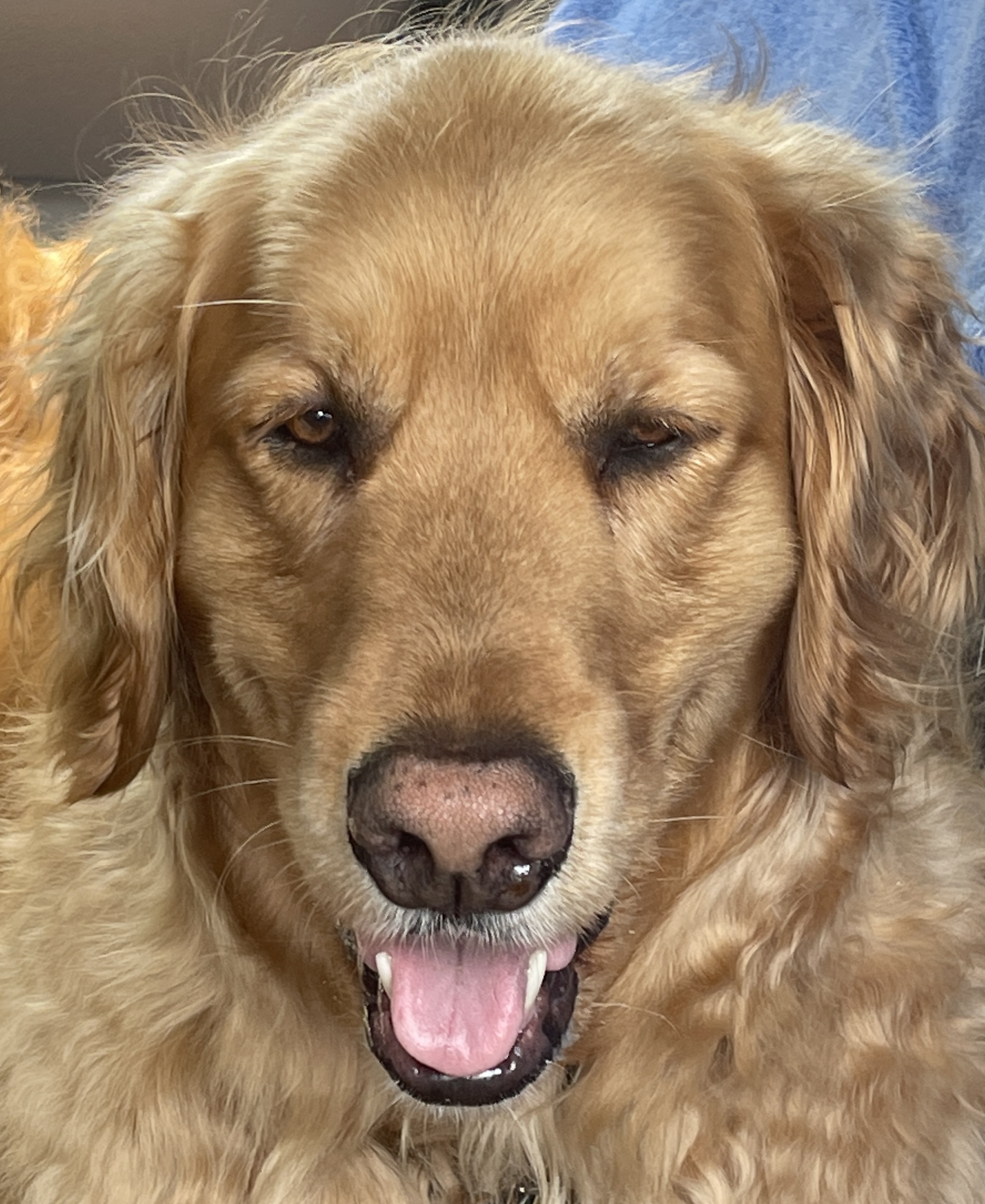 Tributes - Bubbling Well