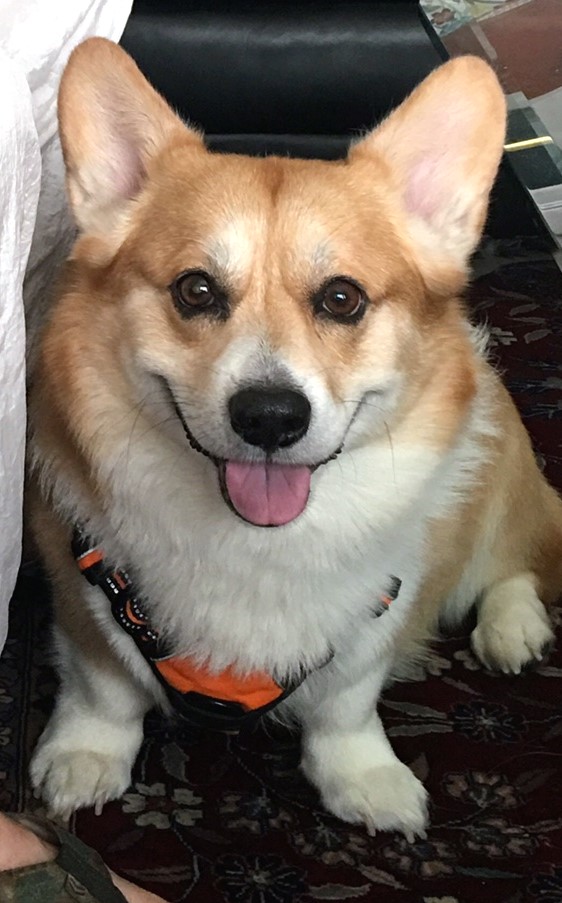 Tributes - Bubbling Well