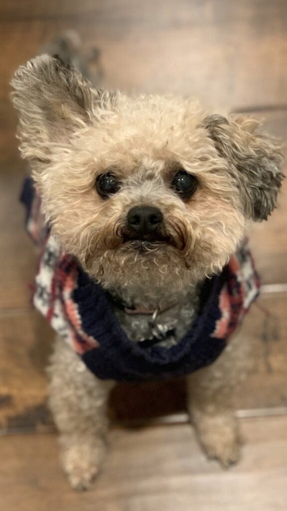 Tributes - Bubbling Well