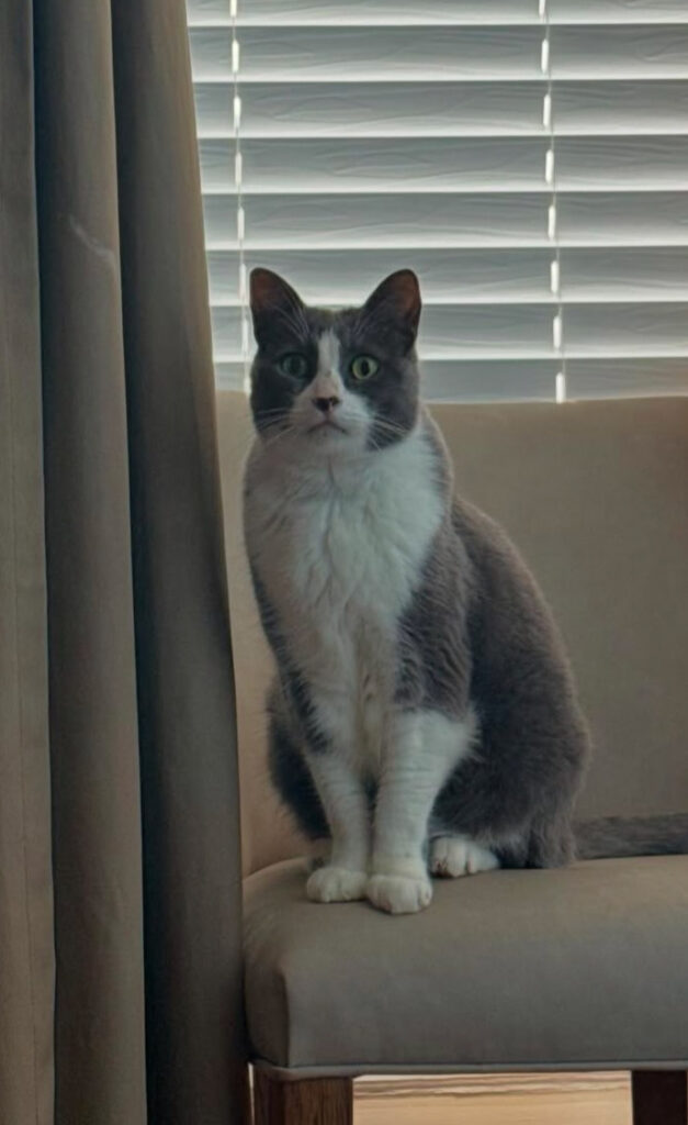 Tributes - Bubbling Well